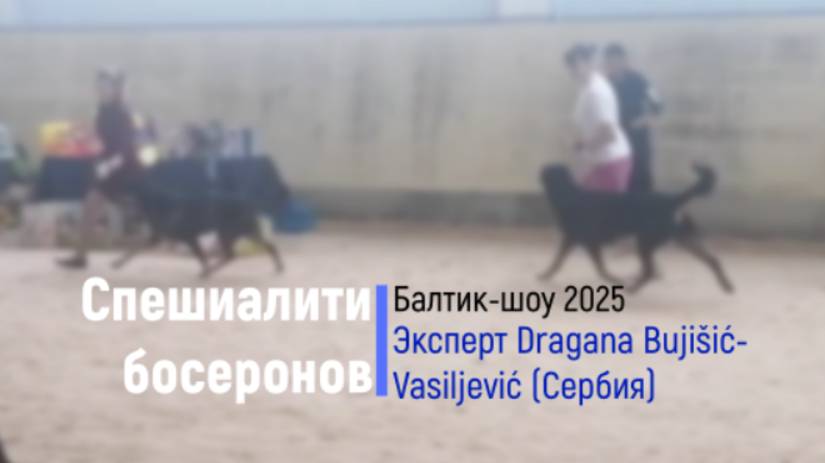1 Кобели юниоры