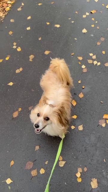 Велес - красотааа!