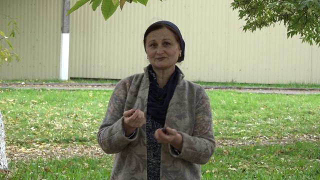 Живая природа 271025  (Каштаны)