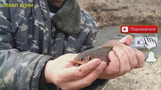 Рыбалка на хариуса и мальму мухами