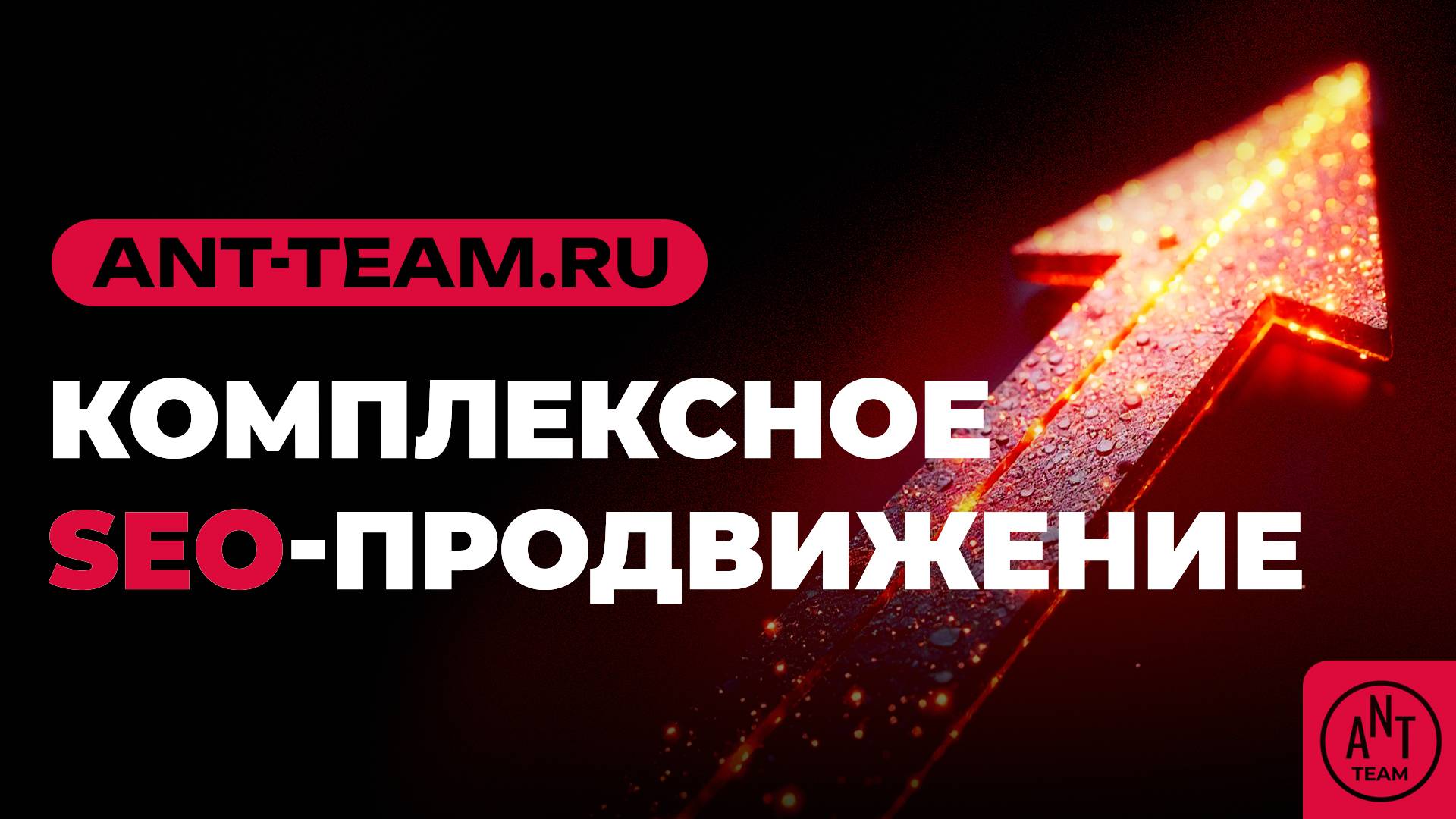 Ant-Team: Комплексное SEO продвижение