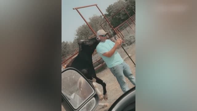 И смех и грех!!! Видео взорвавшее интернет! #54