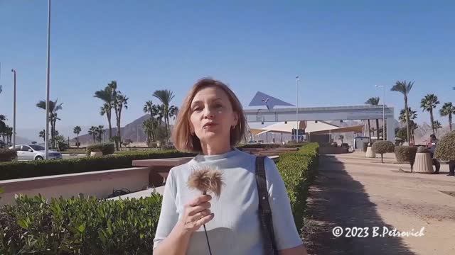 Шарм эль Шейх в декабре