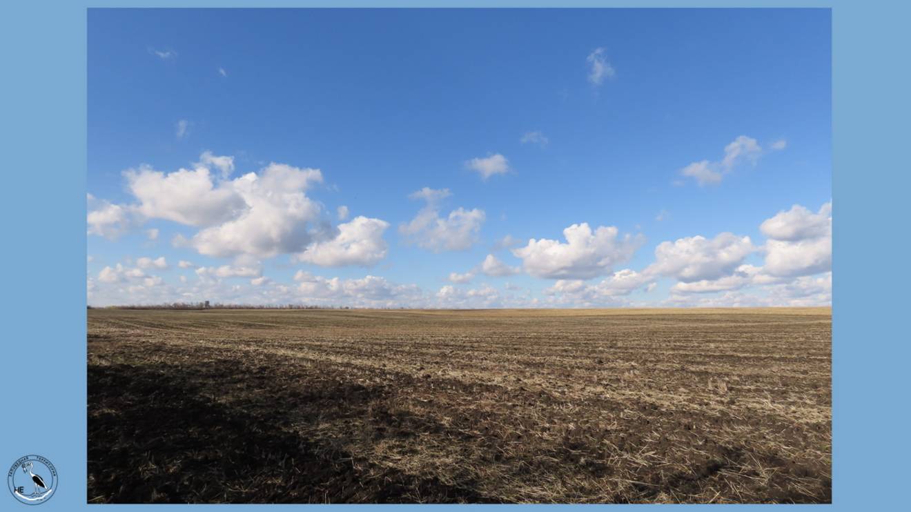 Облака в степи