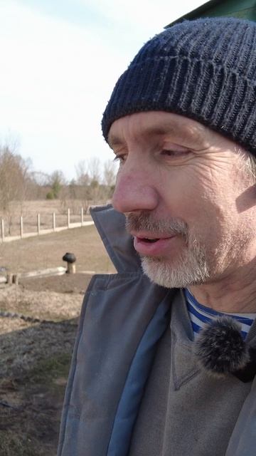 Мой новый гидравлический дровокол Brait BLS525!