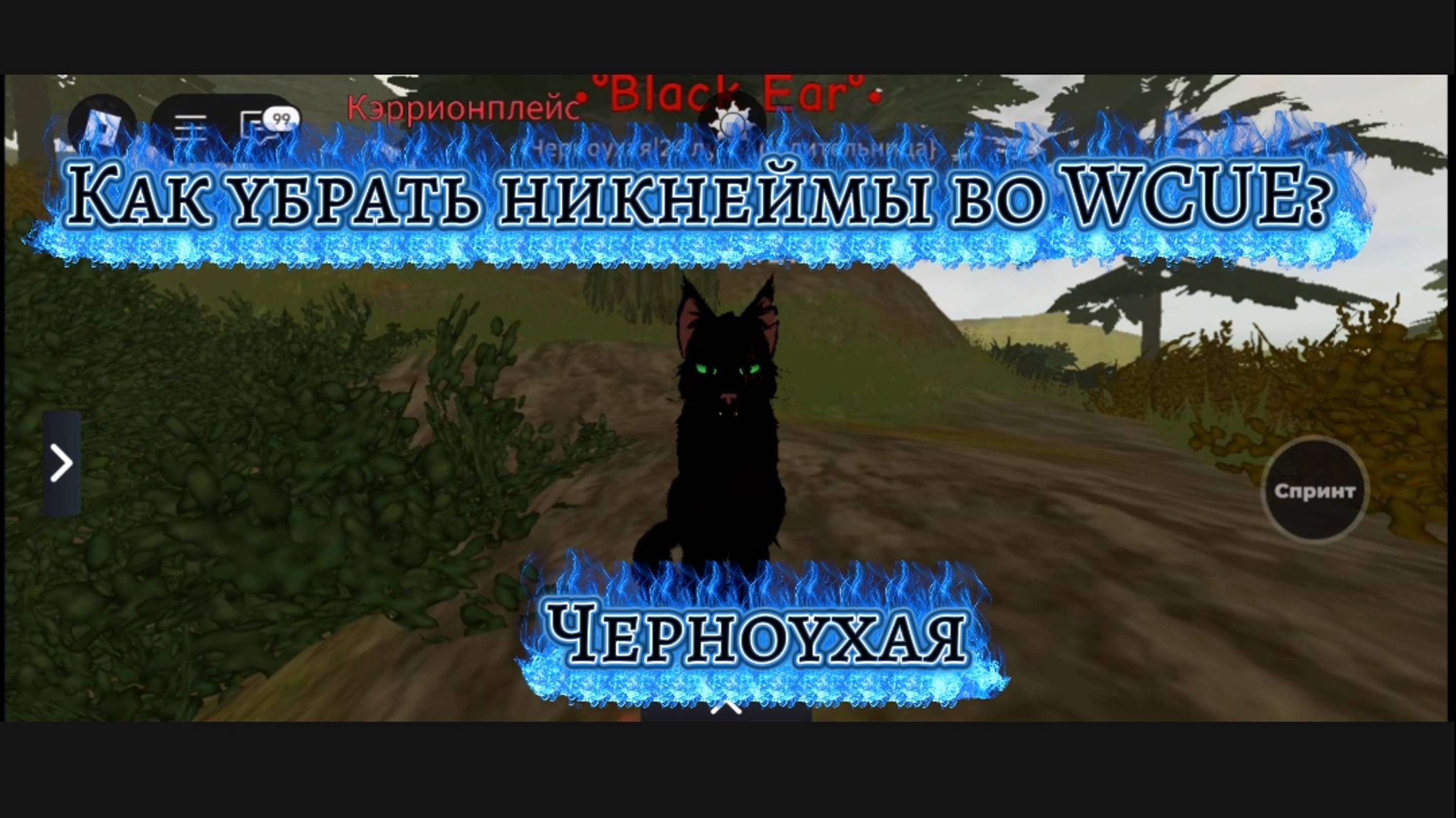 Как убрать никнеймы во WCUE?|#черноухая #новое видео #подпишись