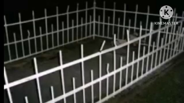 Гача страшилка |Проклятая ведьмина могила ||