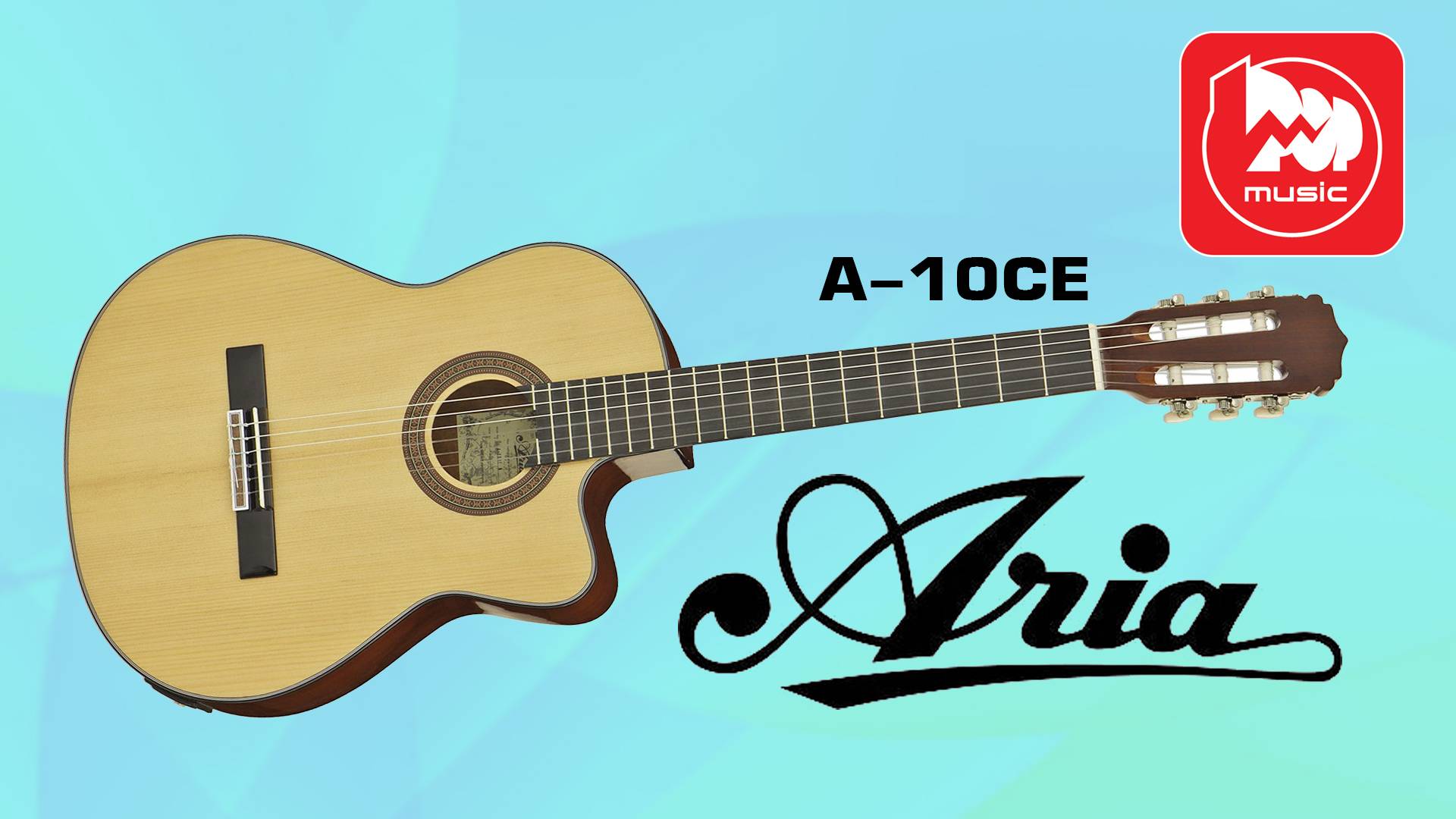 Электроакустика ARIA A-10CE