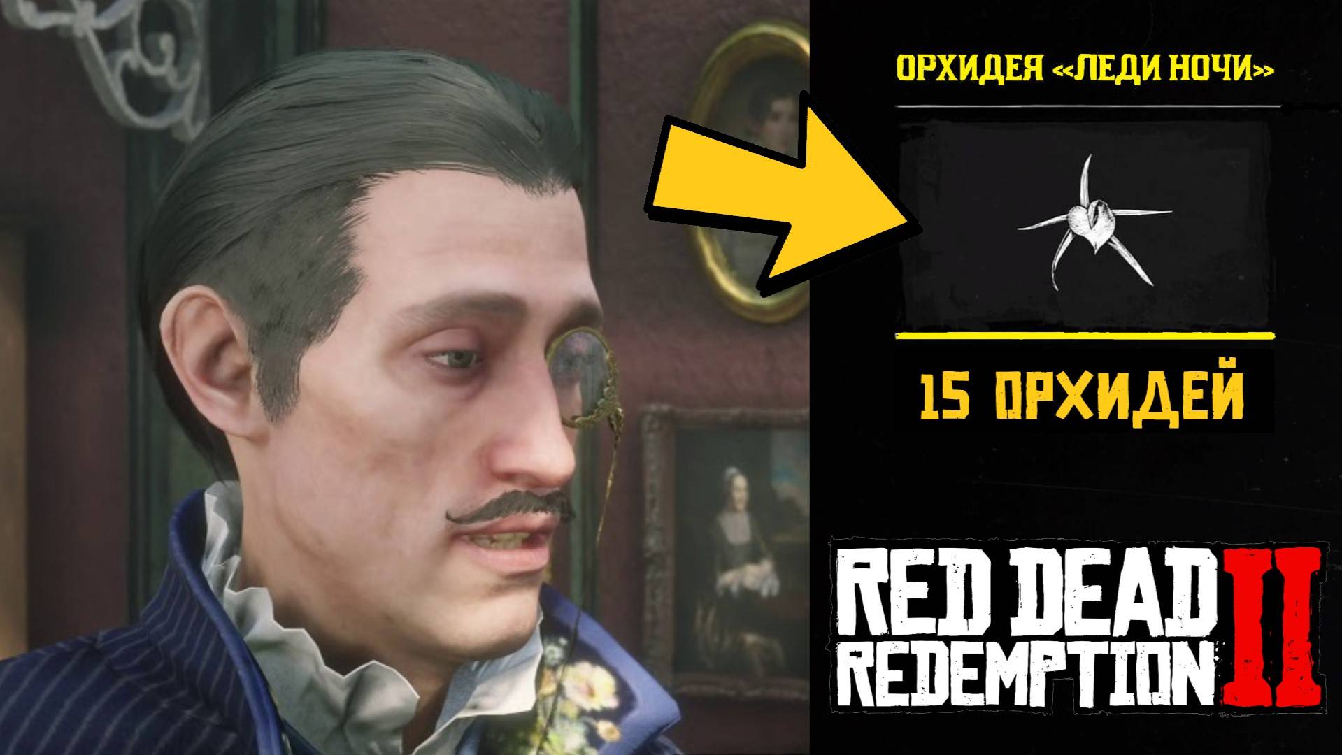ЭКЗОТИКА Все 15 орхидей ЛЕДИ НОЧИ в RDR 2