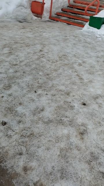 №235. ул. Белинского. 13 марта 2025 г., 10:10:12. VID_20250313_100717600