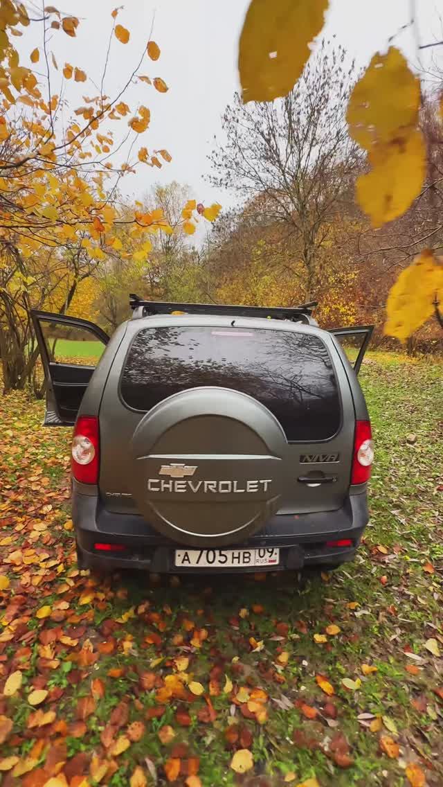 Barracuda 69 v.2 в Chevrolet Niva