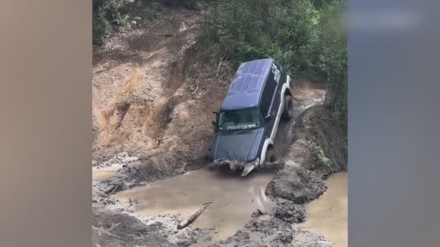 И смех и грех!!! Самые дурацкие поступки в мире! #57