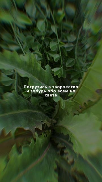 Когда жизнь швыряет нам “новые уроки”, хочется сделать возврат по чеку и гарантию