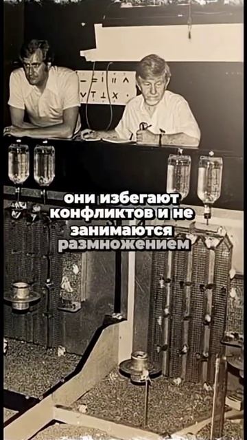 Мыши в раю😀😀😀