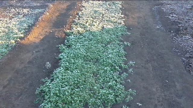 Участок 27 октября