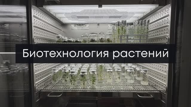 Биотехнология растений