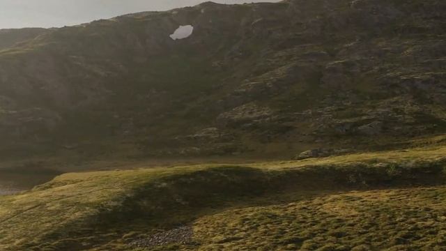 Путешествие к центру аномалий.  Часть 2 . "Гости"