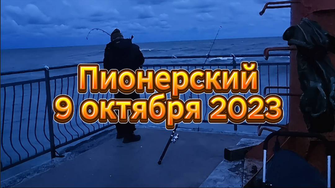 Пионерский 9 октября 2023