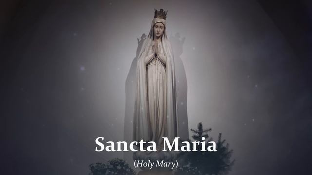 Ave Maria _ Schubert _ Solo & Choir with Lyrics (Latin & English) _ Hail Mary _ Sunday 7pm Choir