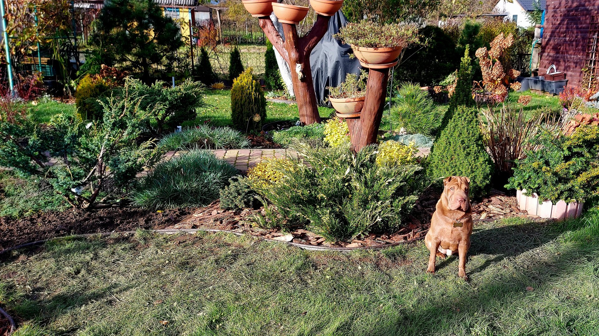 Осенний марафон на даче🍁🍂🍁Покой нам только снится🙃