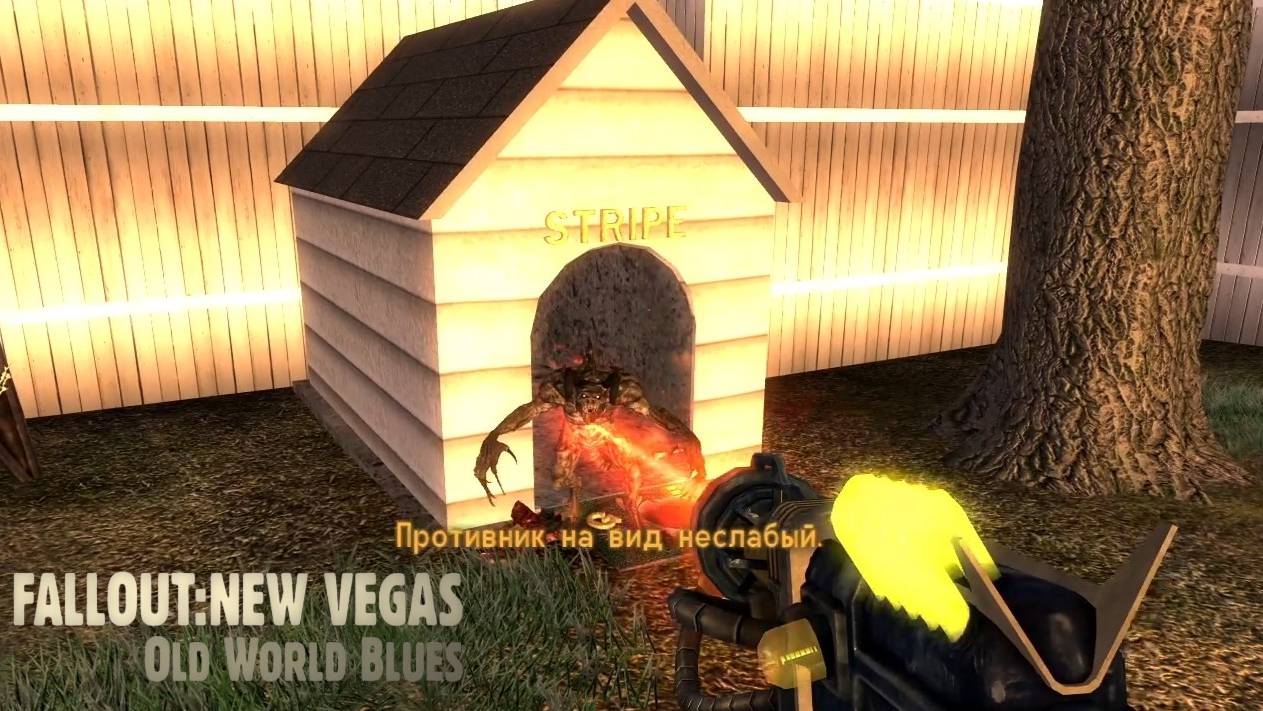 Хожу Брожу #13 Fallout: New Vegas