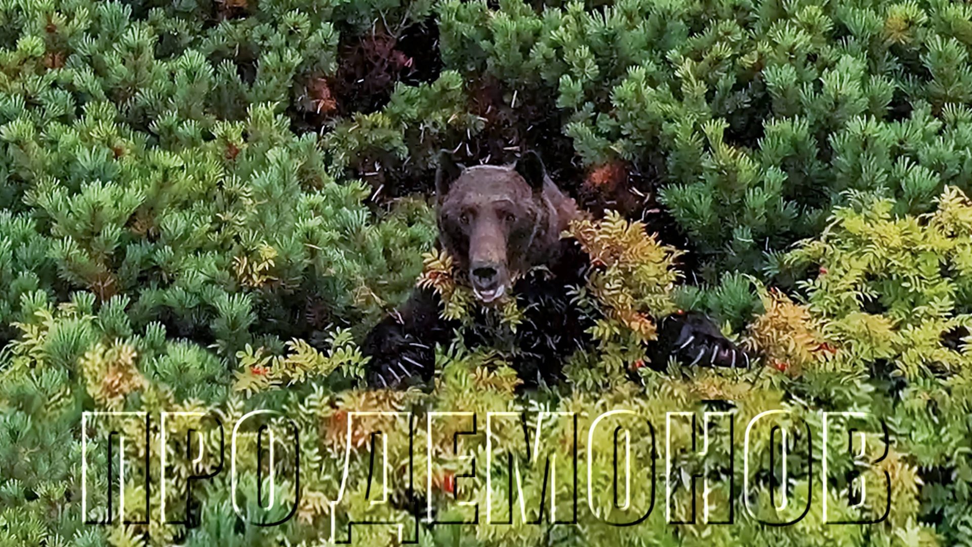 ПРО ДЕМОНОВ