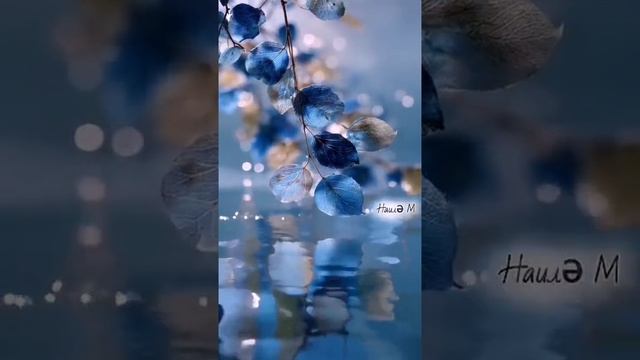 Рәил һәм Гөлшат Өмөтбаевтар - Йондоҙҙар күреп ҡалһын✨✨✨✨✨