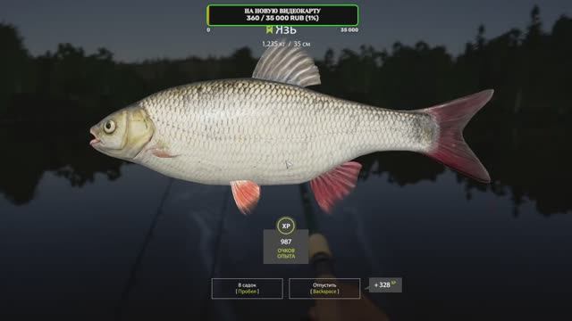 РР4 Комариное. Язь.