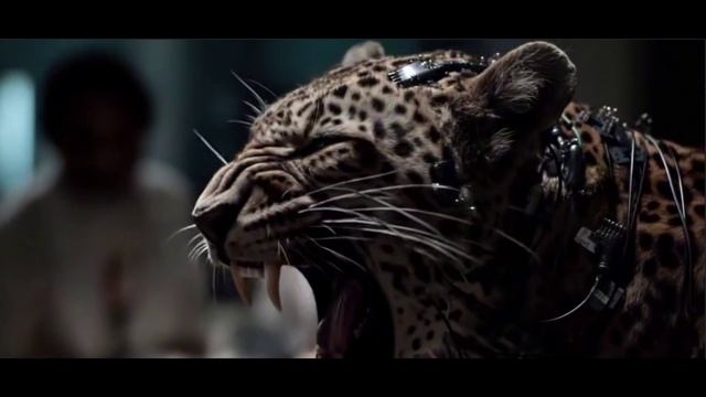 159  Автор музыки Юнгман ВВ