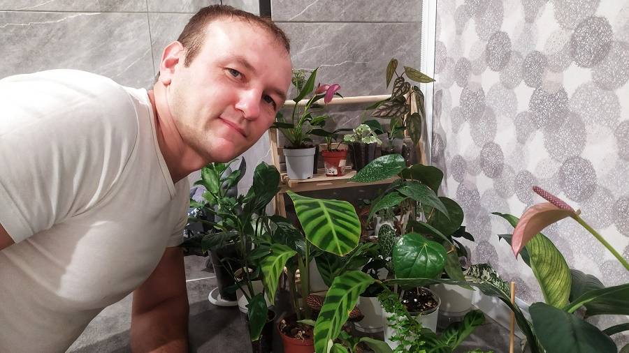 Обзор растений дома, после переезда из мастерской