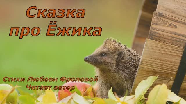Сказка про ёжика
Читает автор