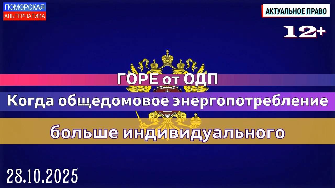 Горе от ОДП. Когда общедомовое энергопотребление больше индивидуального. #АктПраво (28.10.2025) 12+