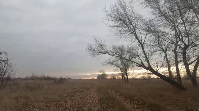 Через сад №15 до посёлка Калиновка.😊