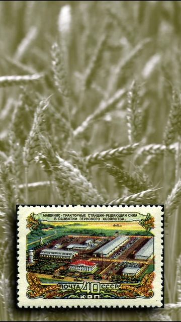 Что такое Трактороцентр?