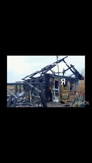 Когда забыл выключить утюг