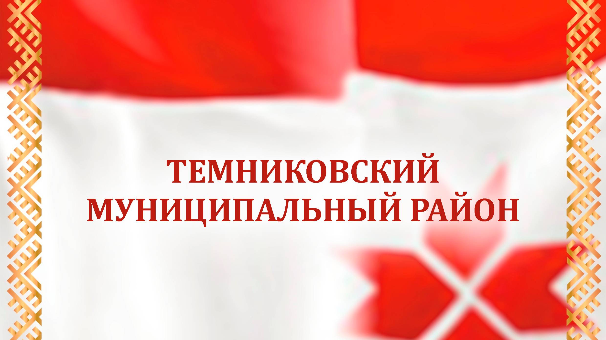 Отчетный концерт Темниковского района 19.10.2025 г.