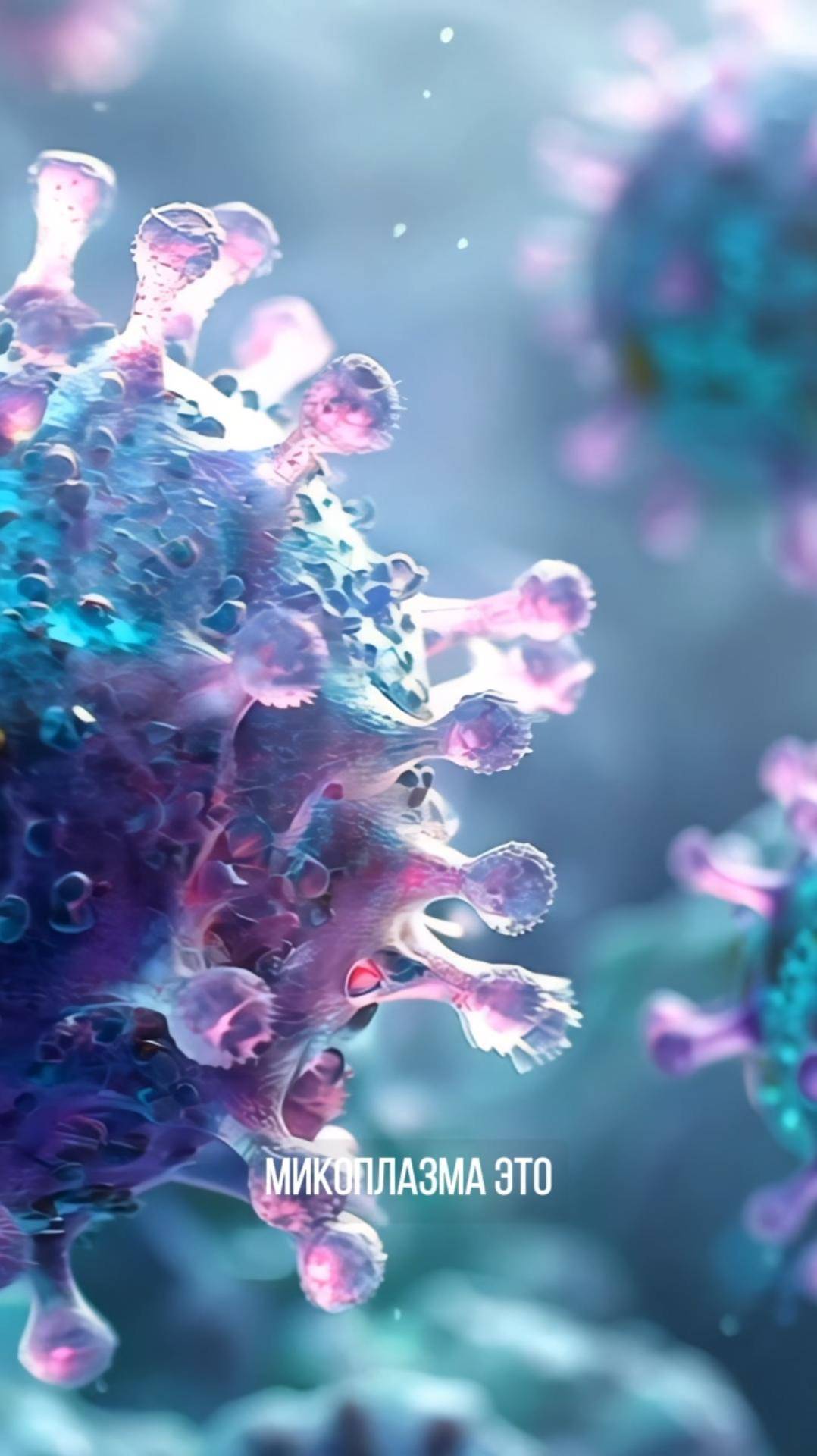 Как выявить микоплазму?