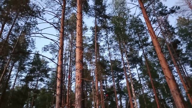 Сегодня прекрасный день...