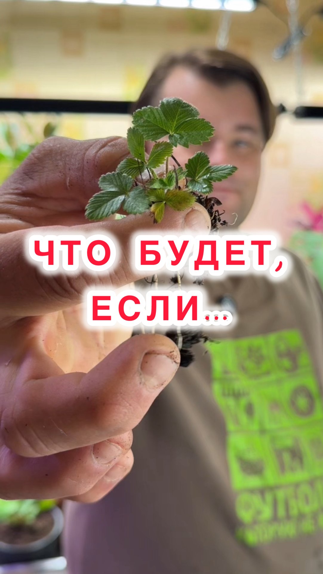 Можно ли вырастить и собрать урожай или овчинка выделки не стоит?