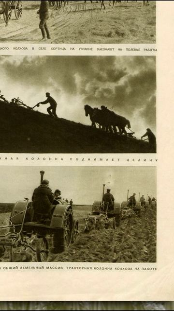 МТС в Московской области