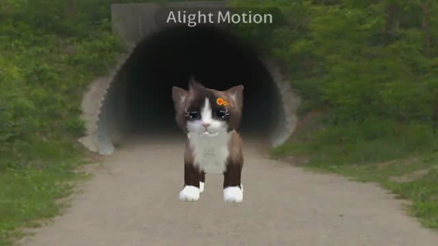 тест анимация с таной