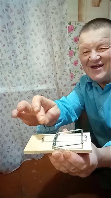 Борьба с мышами при помощи мышеловки. Наглядный пример