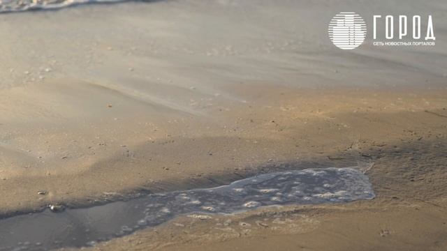 Пляжи Анапы готовят к новым выбросам мазута