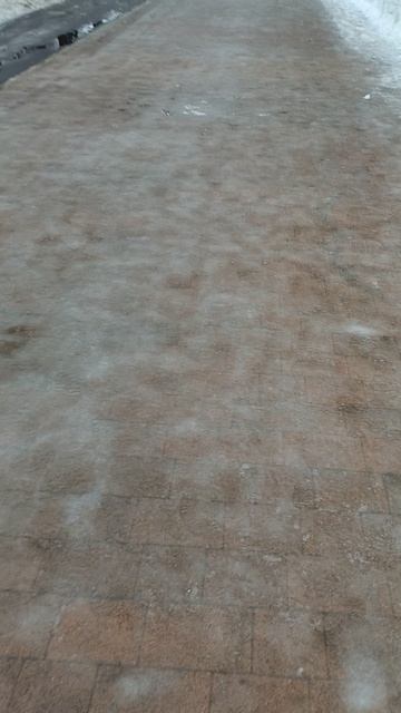 №262. ул. Сибирская. 14 марта 2025 г., 14:28:14. VID_20250314_142618230