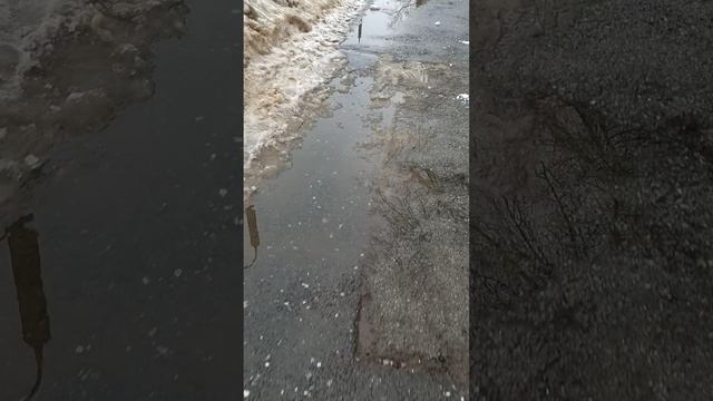 №264. ул. Белинского. 14 марта 2025 г., 14:35:14. VID_20250314_143203282