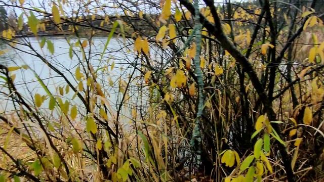 Закаливание в конце октября