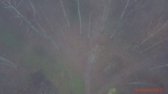 Начало Камы. Кто бы подумал.