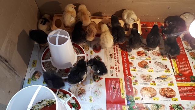 Одна неделя..