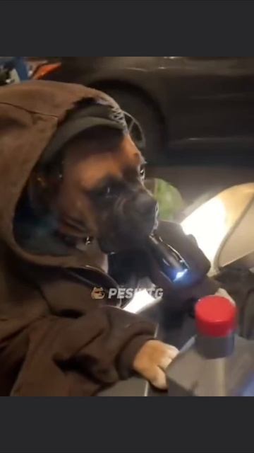 (Прикол:)Свети тщательнее пожалуйста🤣