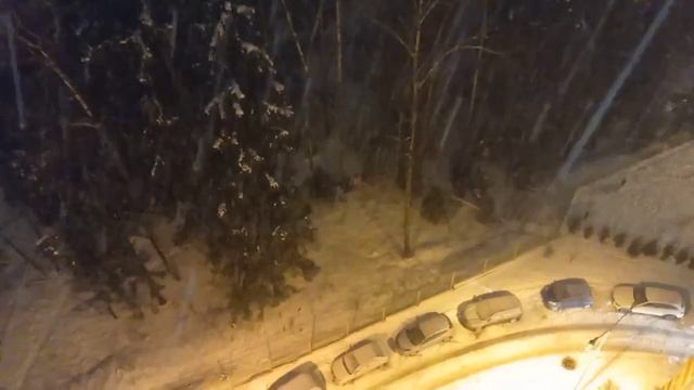 СНЕГОПАД. Красота!